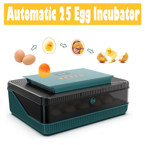 Digital Led Fully Automatic 25 Egg Incubator Hatch Turning Chicken Eggs ...